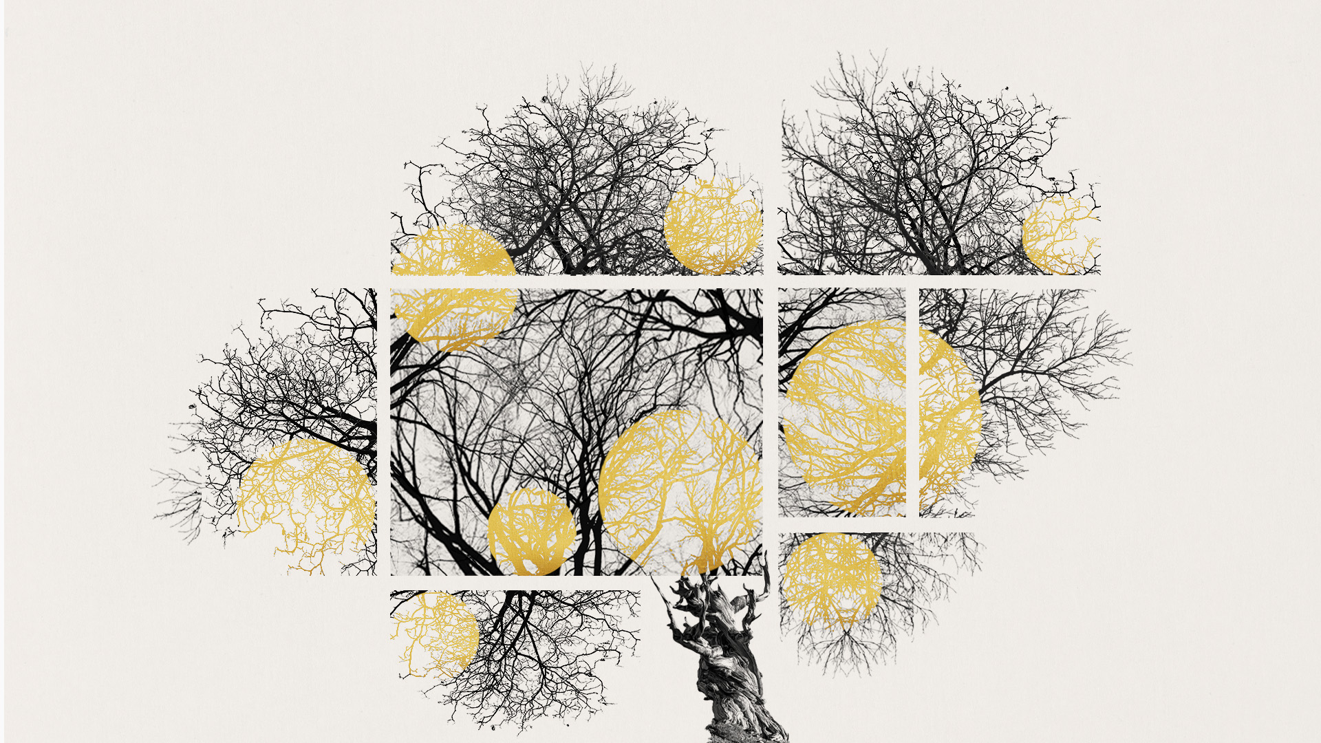 The Tree of Life: An Alternative Christmas Tree — The Beautiful Truth