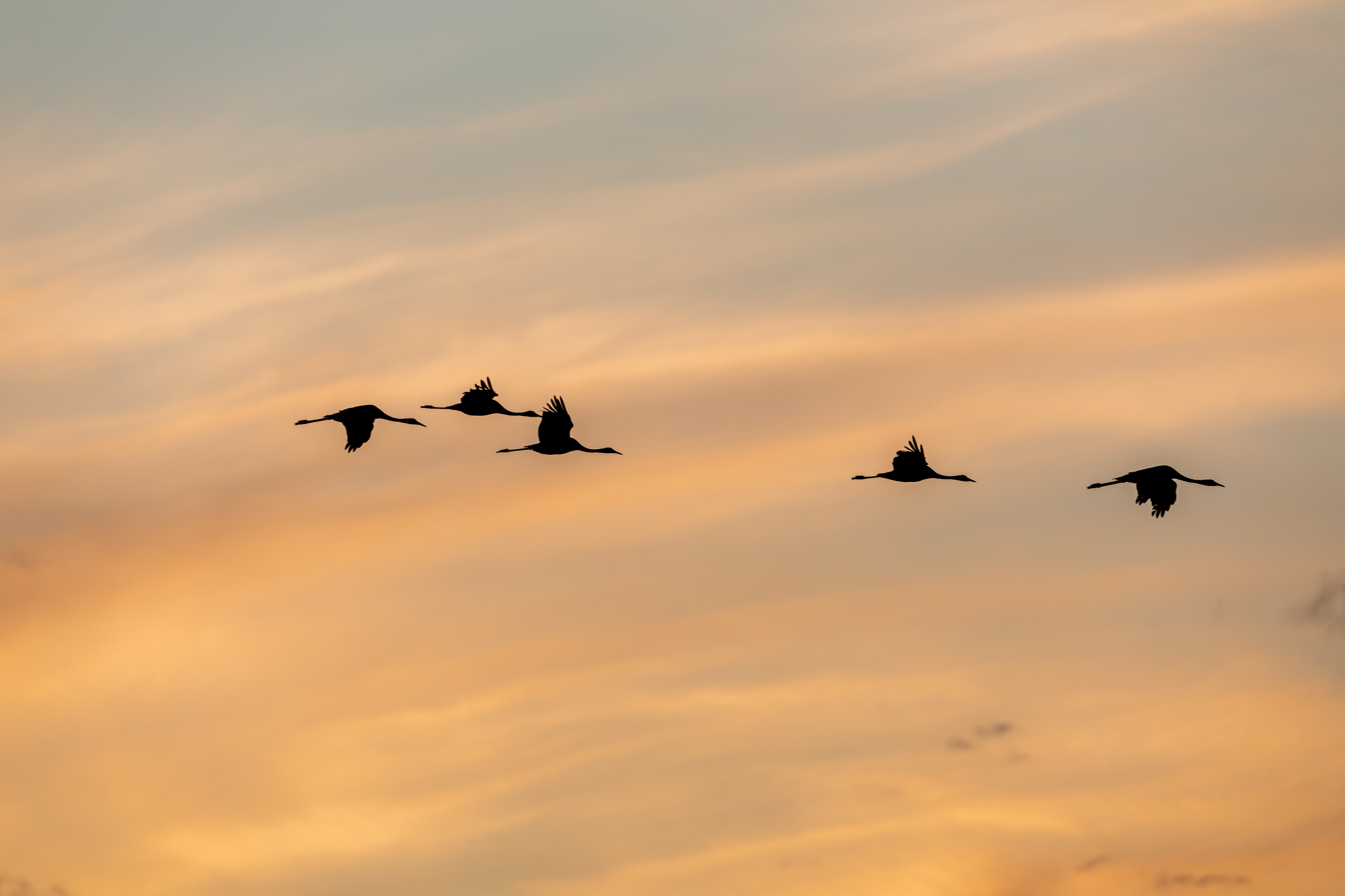 A Brief History of Anthropy — The Beautiful Truth