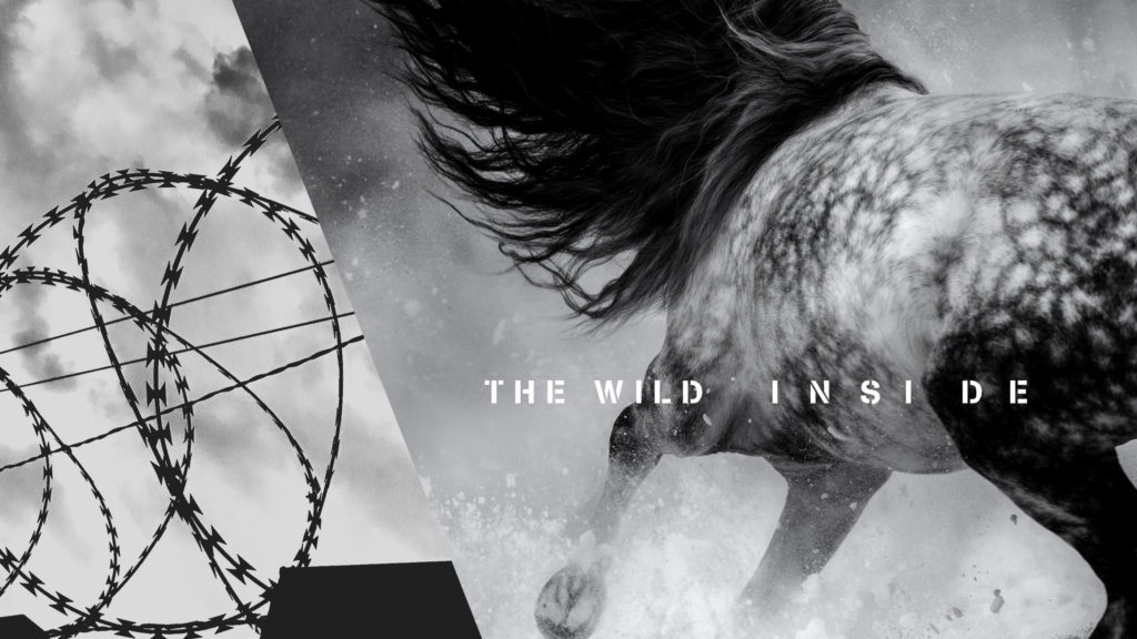 The Wild Inside — The Beautiful Truth