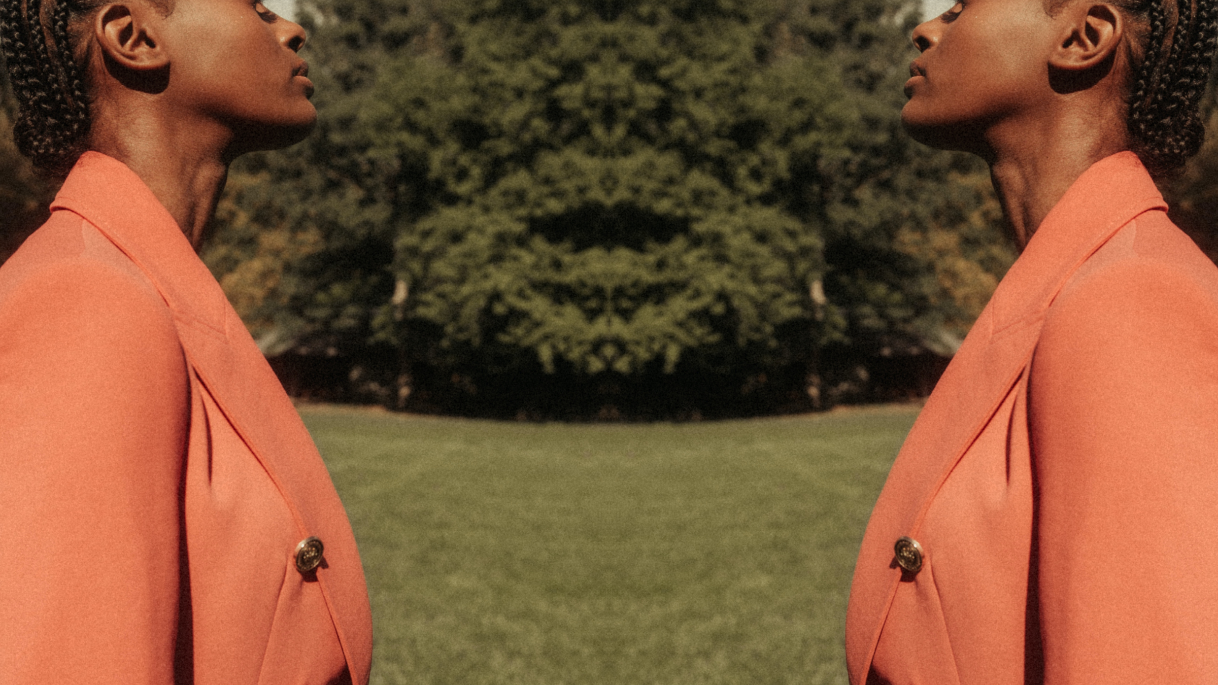 In Conversation With: Tim Dixon — The Beautiful Truth