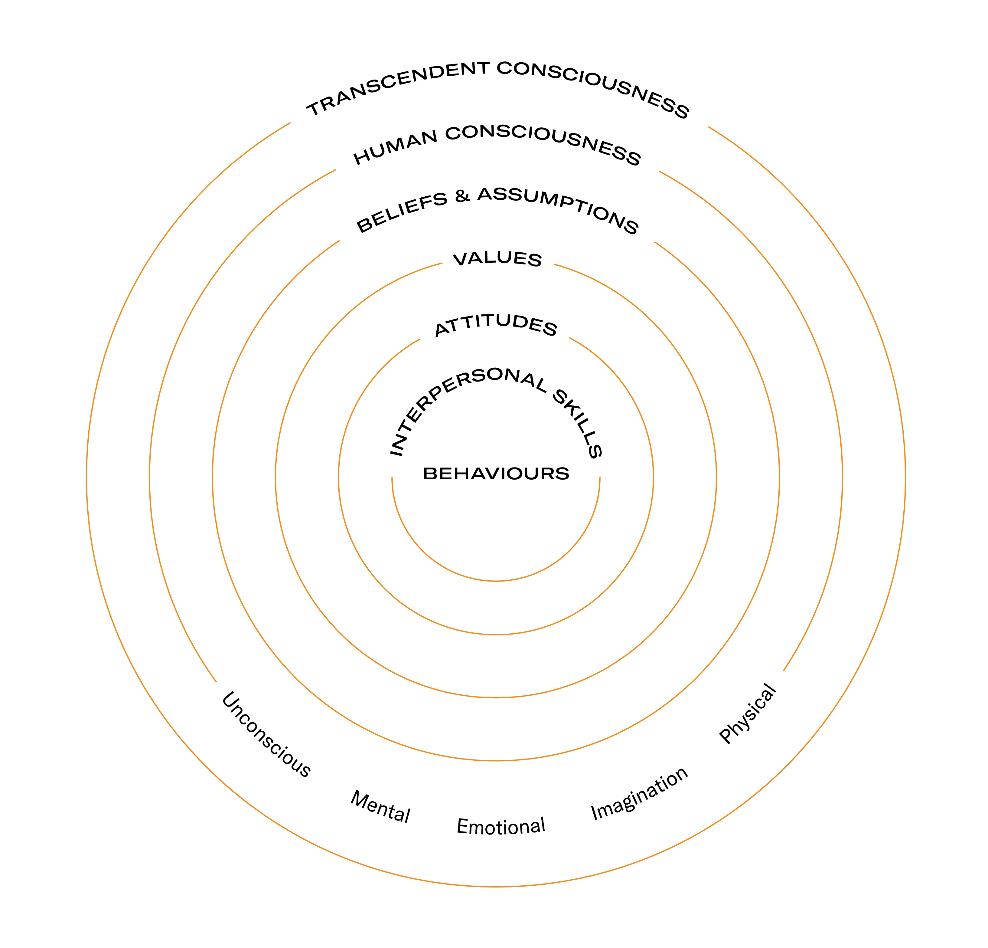 From Authentic to Transcendent: A Leadership Evolution — The Beautiful ...